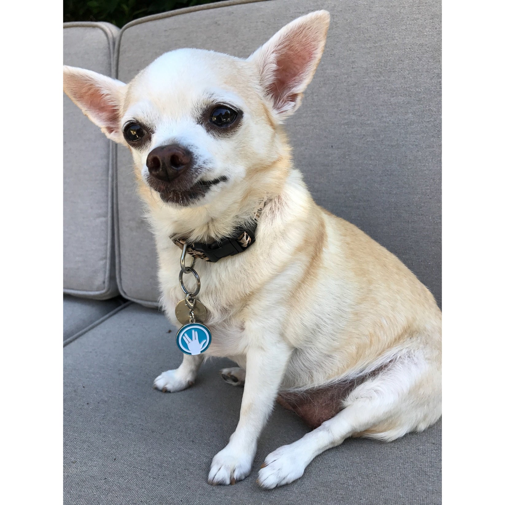 Vulcan Hand Salute Pet Collar Charm/Zipper Pull – Shop LLAP